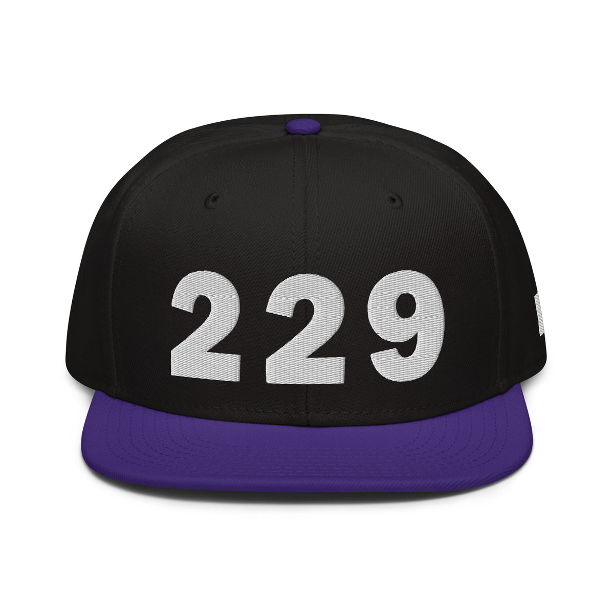 229 Area Code Snapback Hat – WhereIWasRaised